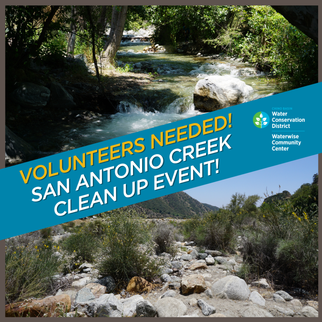 San Antonio Canyon Watershed Clean Up Day | Chino Basin Water ...